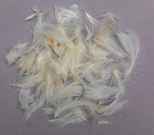 Cushion fillings guide | foam core wraps | feather fibre foam